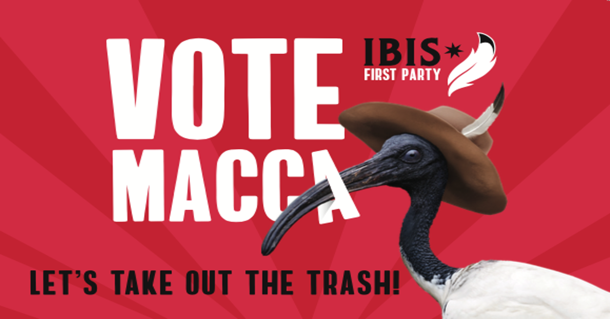 About – Ibis Brewing Co